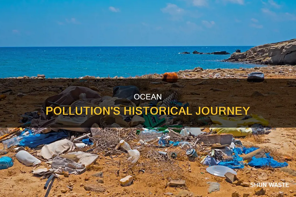 Ocean Pollution's Historical Journey | ShunWaste