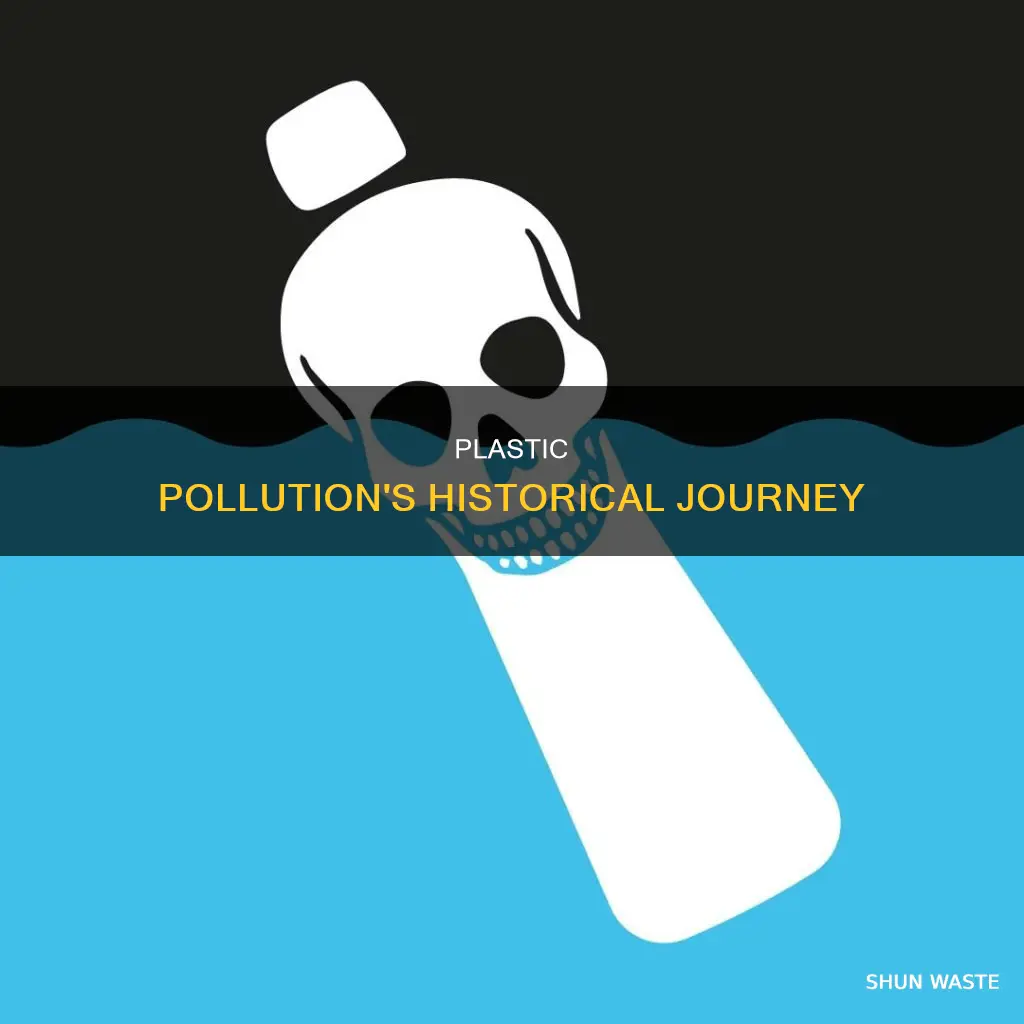 Plastic Pollution's Historical Journey | ShunWaste