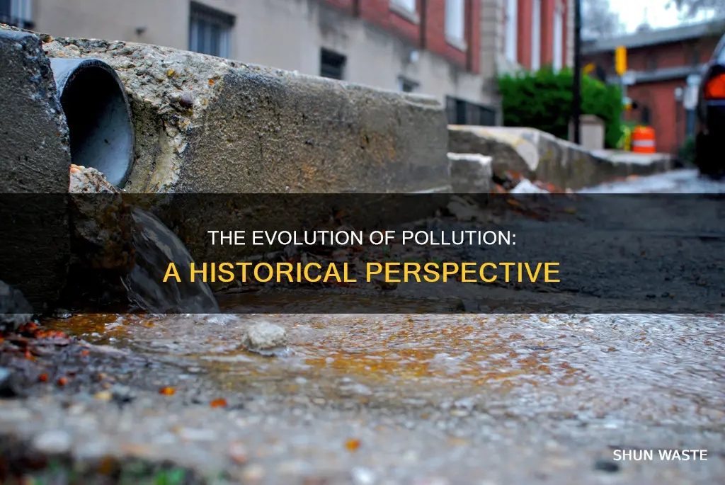 The Evolution Of Pollution: A Historical Perspective | ShunWaste
