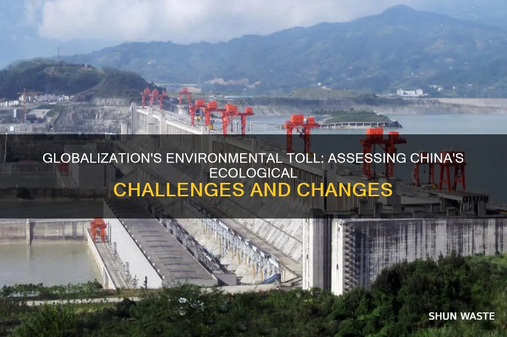Globalization's Environmental Toll: Assessing China's Ecological ...