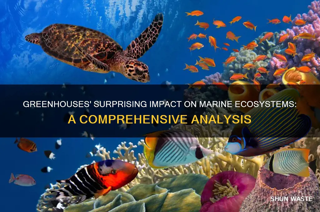 Greenhouses' Surprising Impact On Marine Ecosystems: A Comprehensive ...
