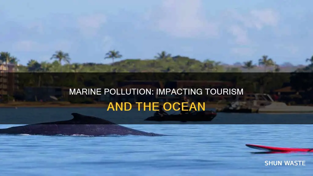 Marine Pollution: Impacting Tourism And The Ocean | ShunWaste