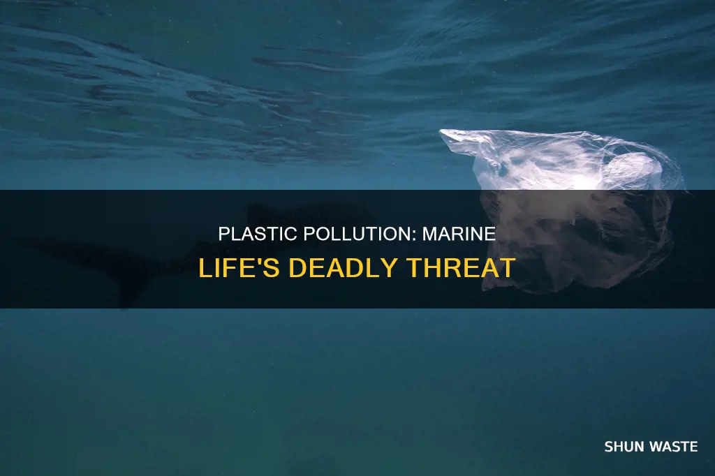 Plastic Pollution: Marine Life's Deadly Threat | ShunWaste