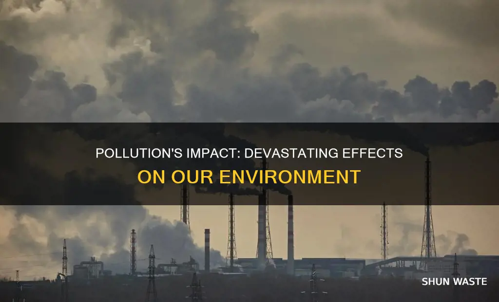 Pollution's Impact: Devastating Effects On Our Environment | ShunWaste