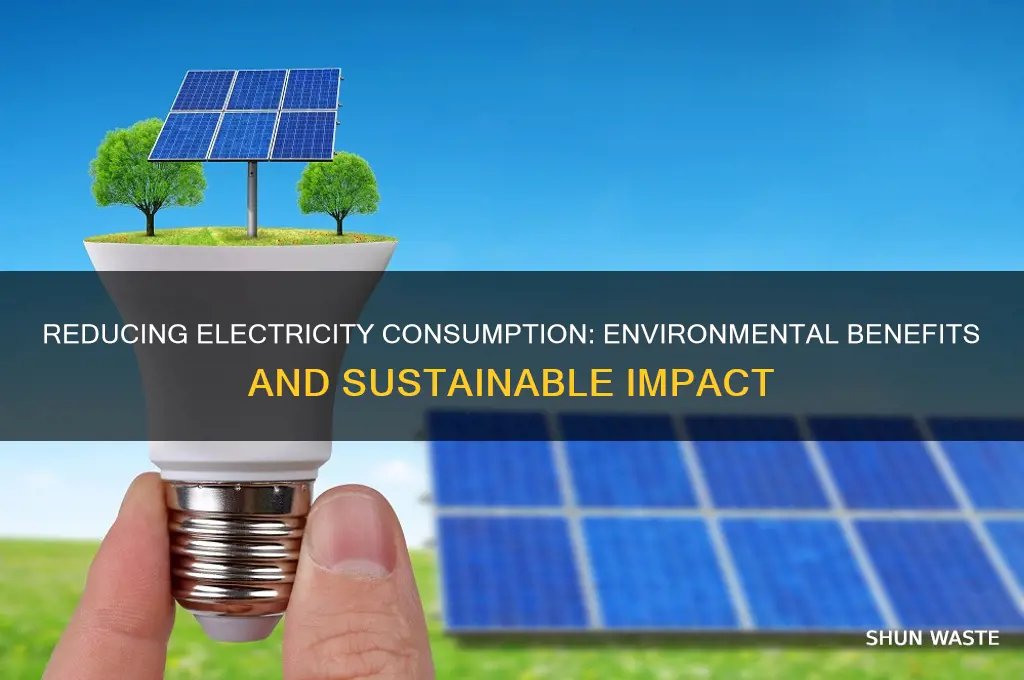 Reducing Electricity Consumption: Environmental Benefits And ...