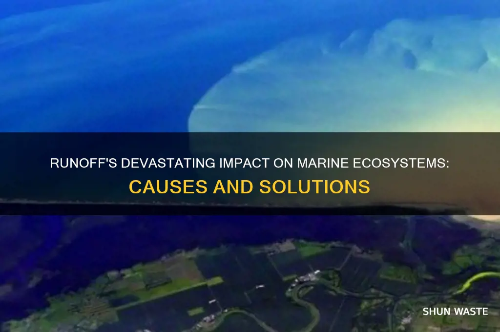 Runoff's Devastating Impact On Marine Ecosystems: Causes And Solutions ...