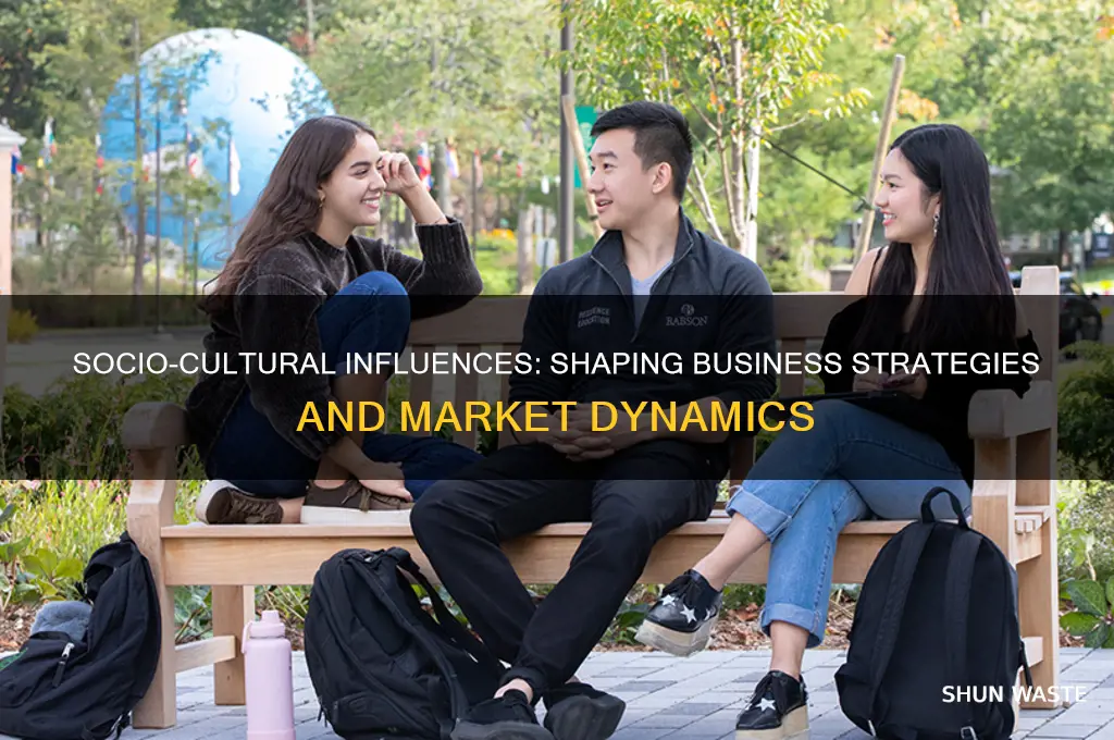 Socio-Cultural Influences: Shaping Business Strategies And Market ...