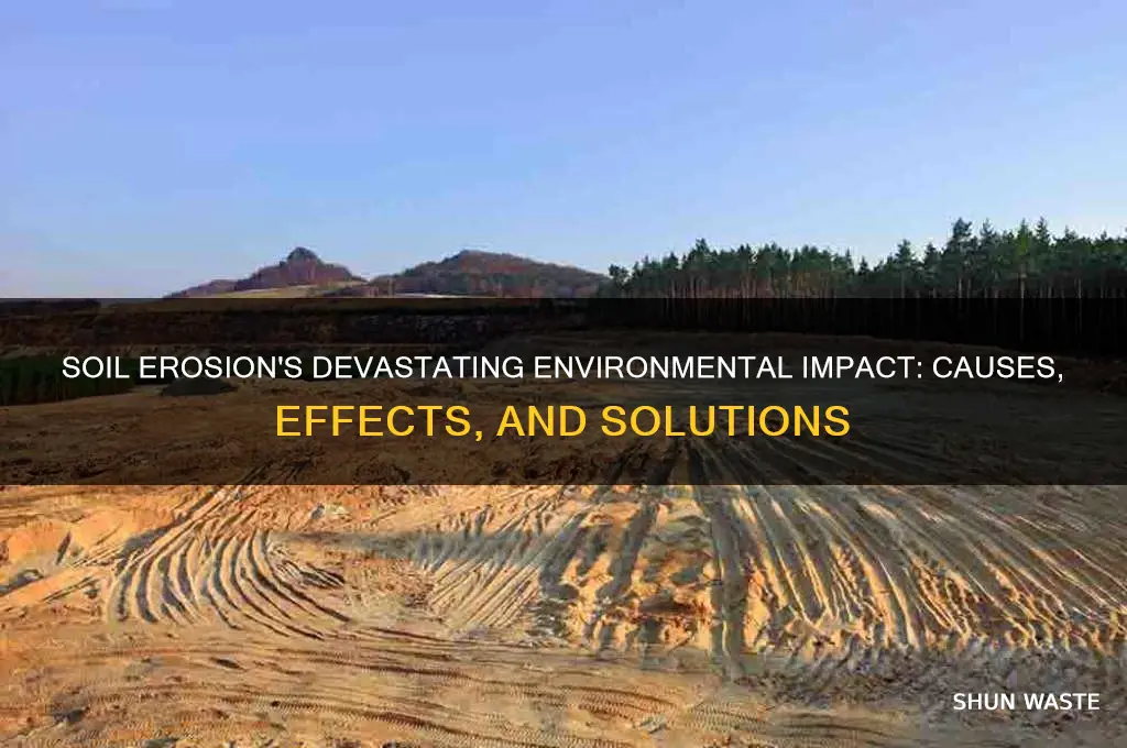 Soil Erosion's Devastating Environmental Impact: Causes, Effects, And ...