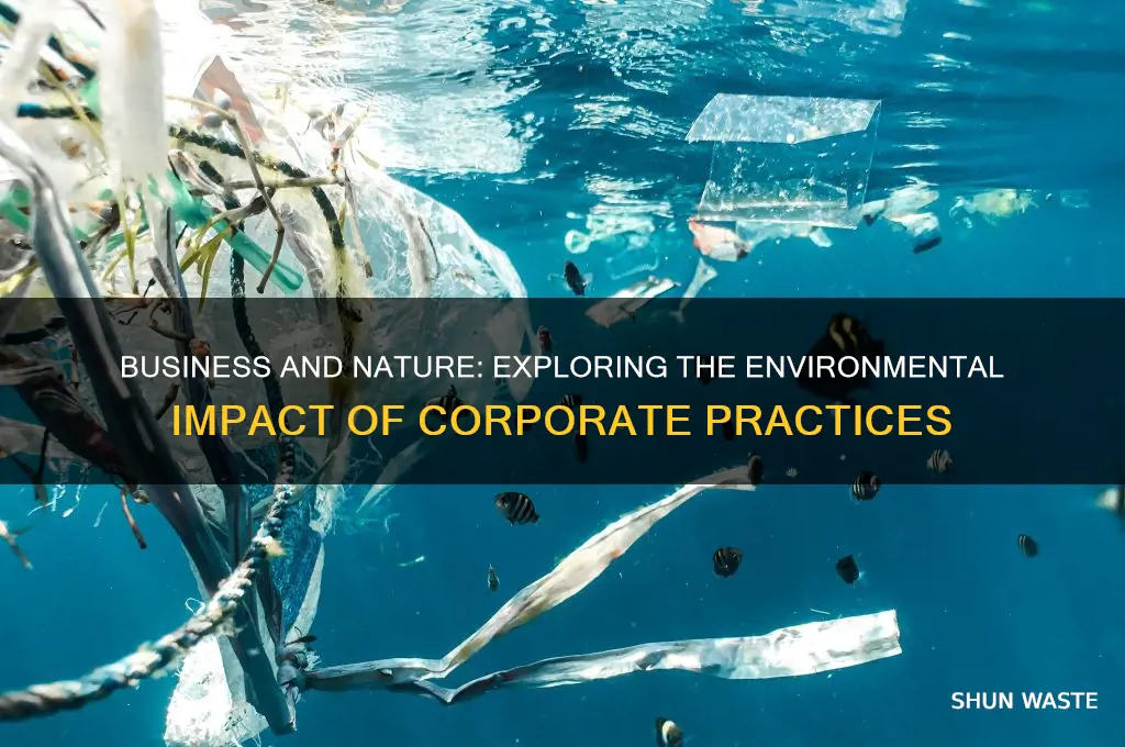 Business And Nature: Exploring The Environmental Impact Of Corporate ...