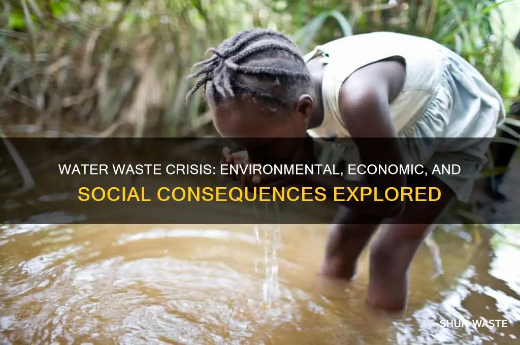 Water Waste Crisis: Environmental, Economic, And Social Consequences ...