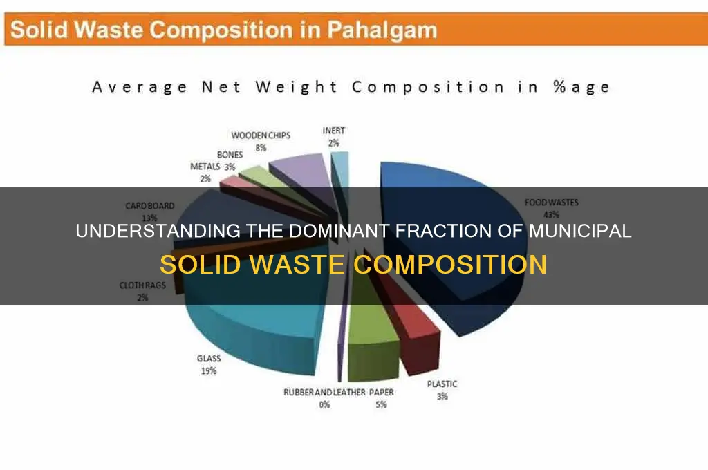 Understanding The Dominant Fraction Of Municipal Solid Waste ...