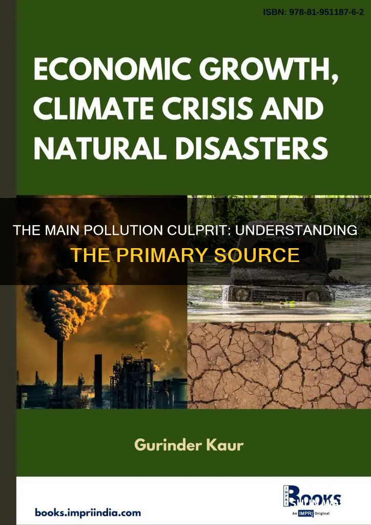 The Main Pollution Culprit: Understanding The Primary Source | ShunWaste