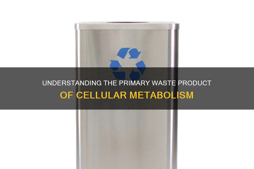 Understanding The Primary Waste Product Of Cellular Metabolism | ShunWaste