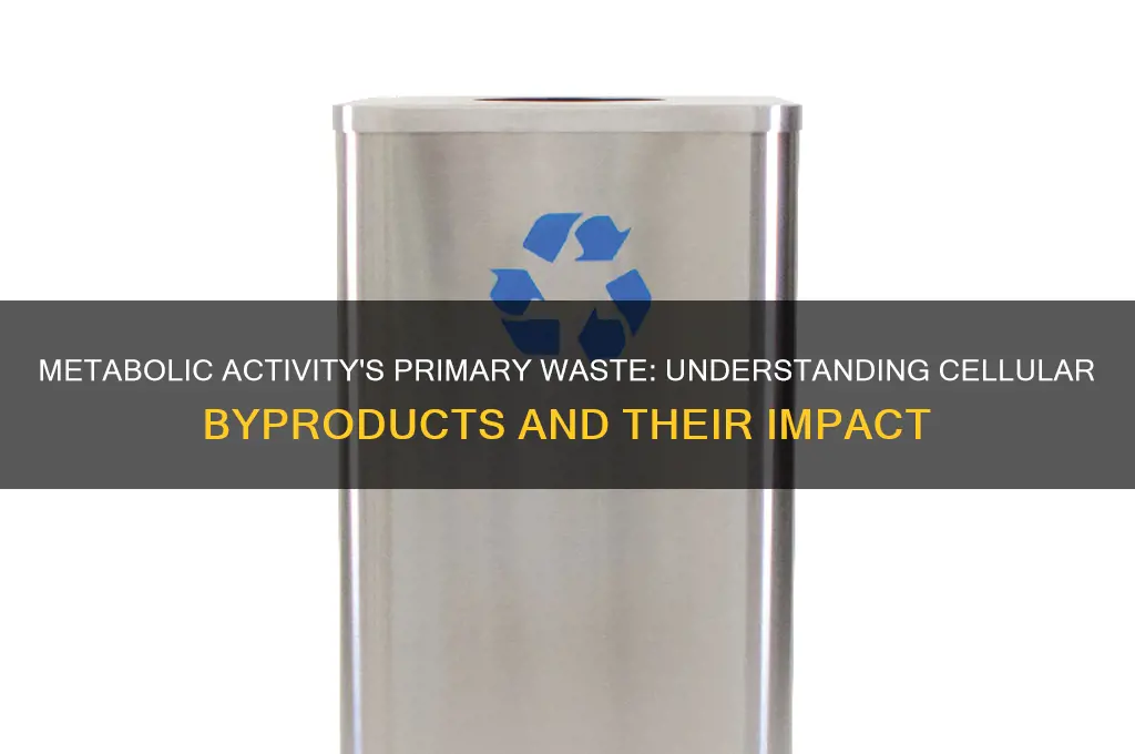 Metabolic Activity's Primary Waste: Understanding Cellular Byproducts ...