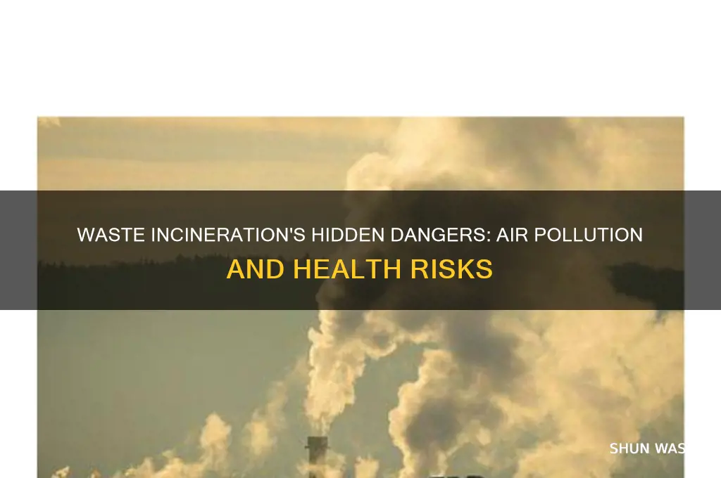 Waste Incineration's Hidden Dangers: Air Pollution And Health Risks ...