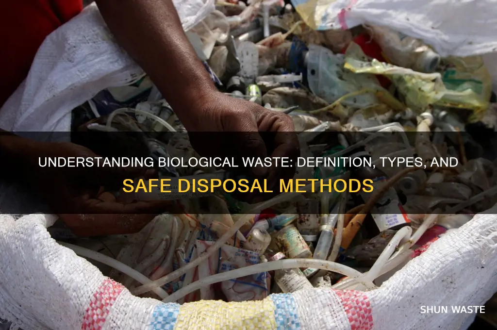 Understanding Biological Waste: Definition, Types, And Safe Disposal ...