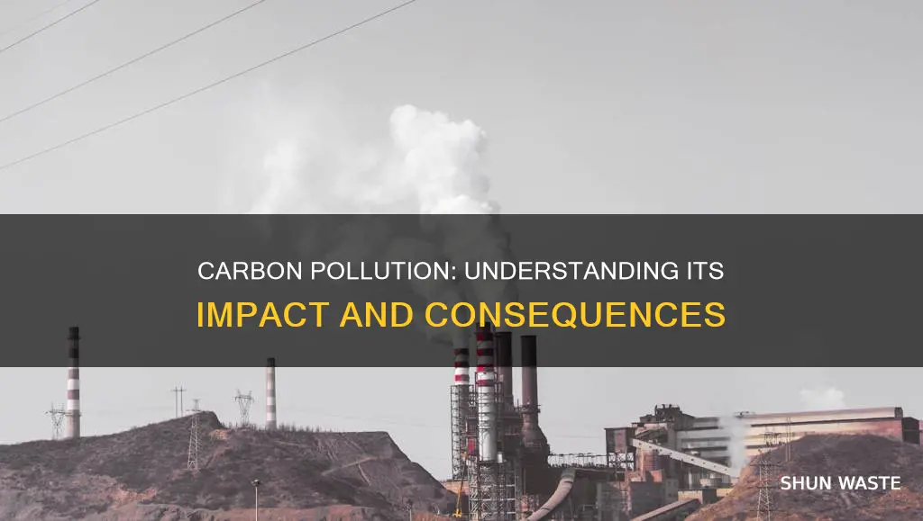 Carbon Pollution: Understanding Its Impact And Consequences | ShunWaste