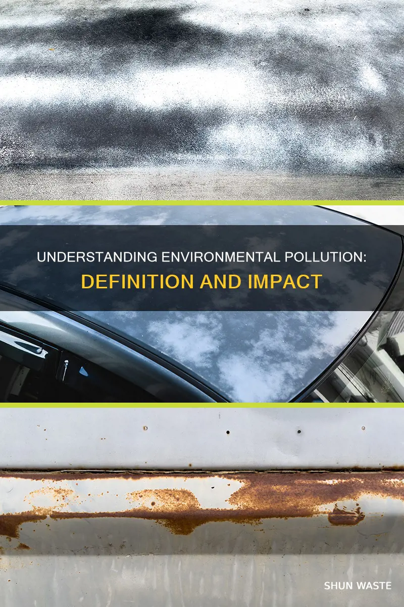 Understanding Environmental Pollution: Definition And Impact | ShunWaste