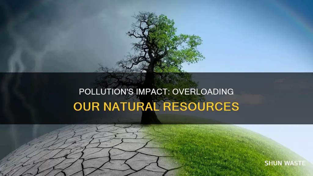 Pollution's Impact: Overloading Our Natural Resources | ShunWaste