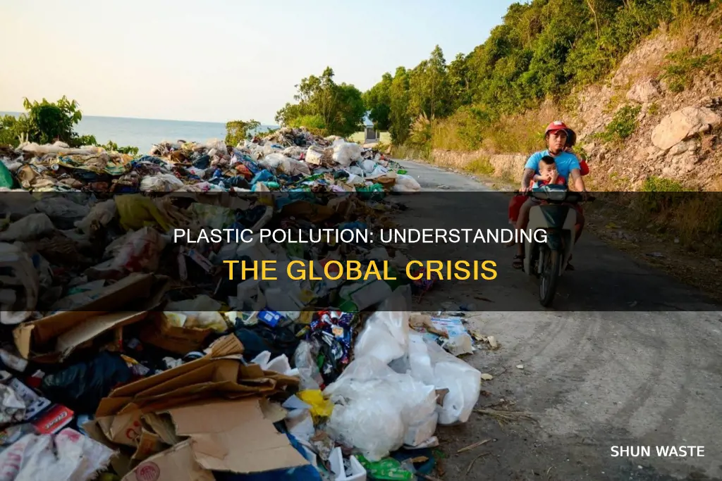 Plastic Pollution: Understanding The Global Crisis | ShunWaste