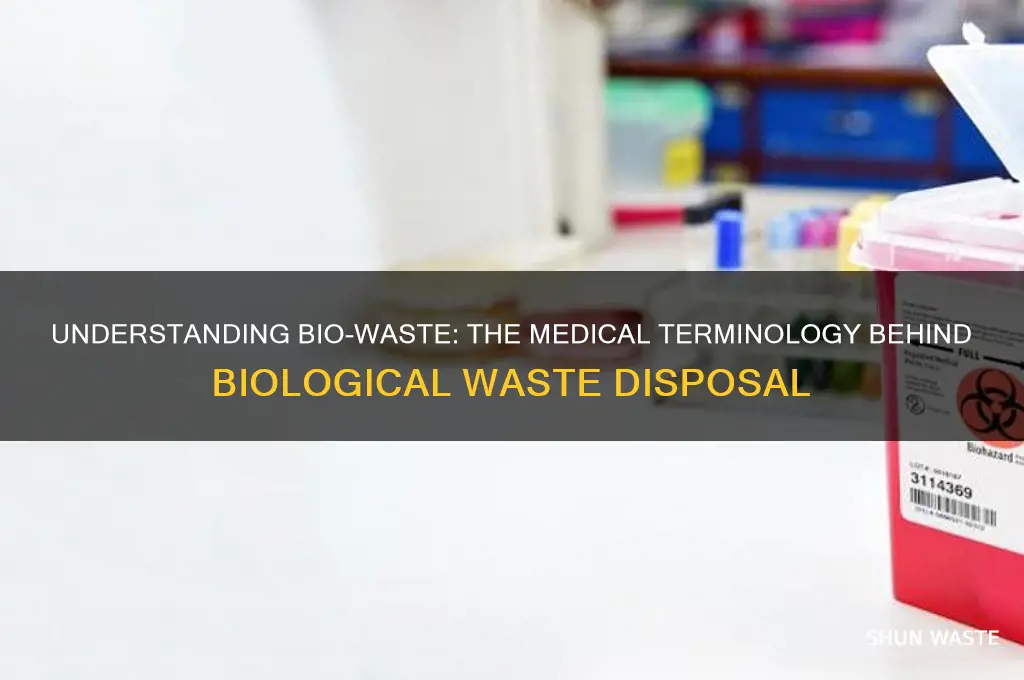 Understanding Bio-Waste: The Medical Terminology Behind Biological ...