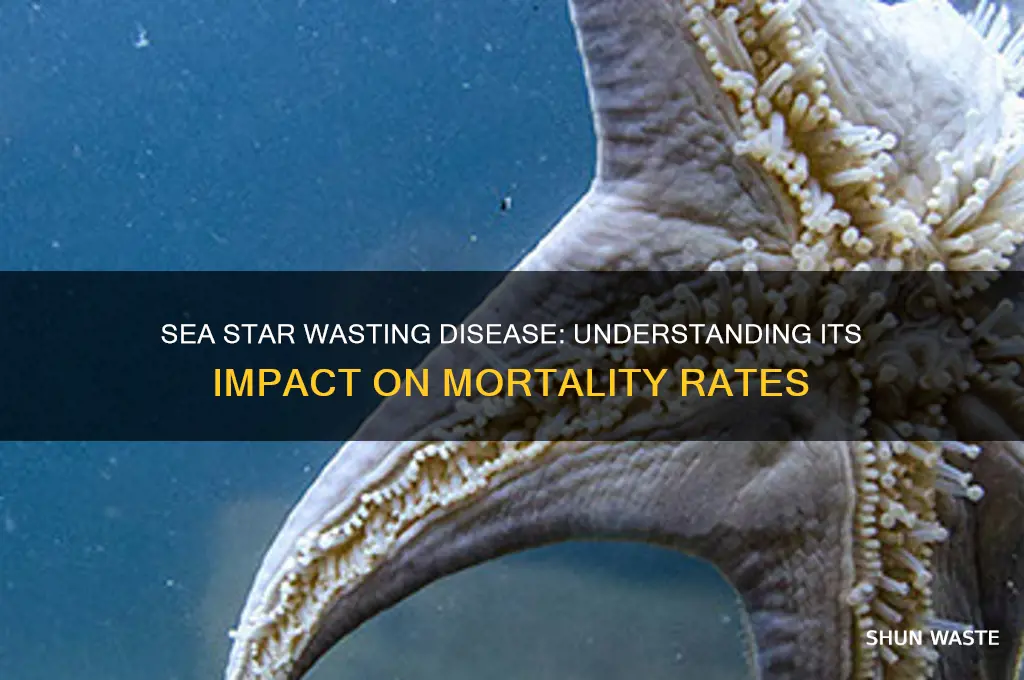 Sea Star Wasting Disease: Understanding Its Impact On Mortality Rates ...