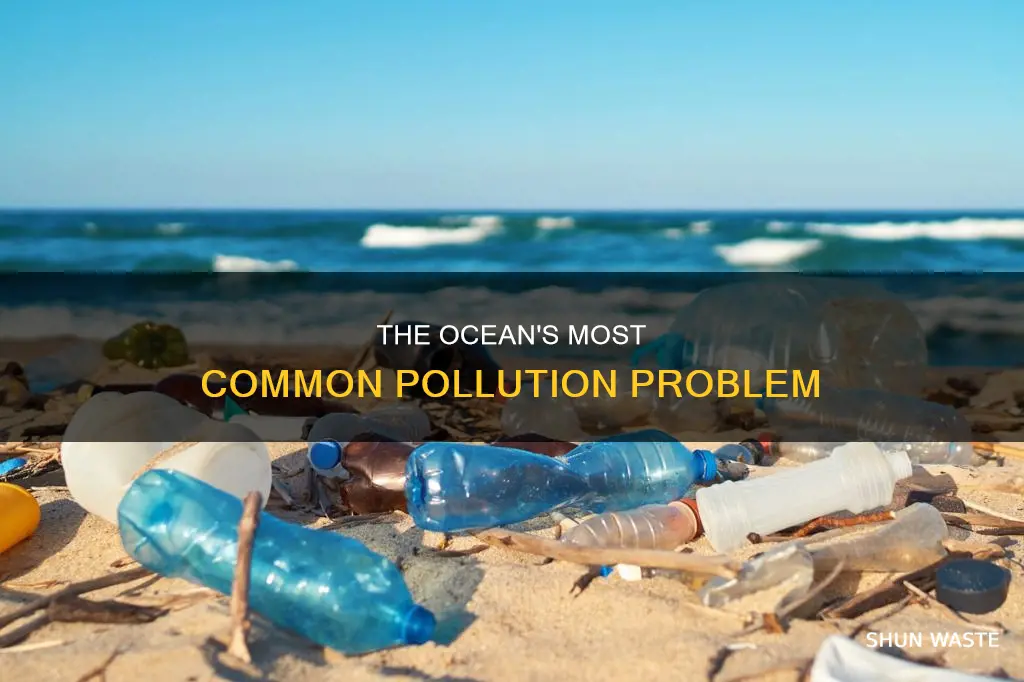 The Ocean's Most Common Pollution Problem | ShunWaste