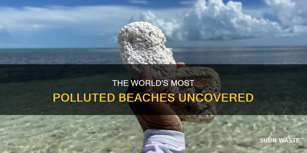 The World's Most Polluted Beaches Uncovered | ShunWaste