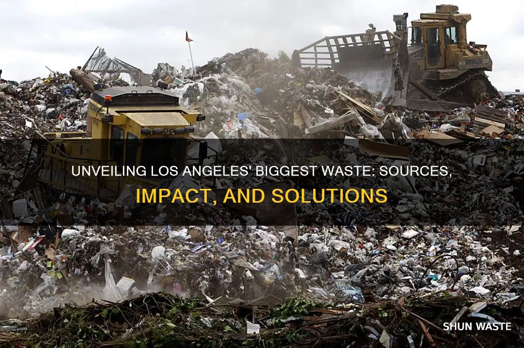 Unveiling Los Angeles' Biggest Waste: Sources, Impact, And Solutions ...