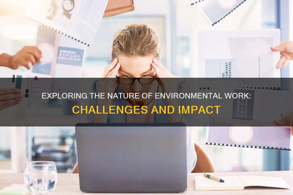 Exploring The Nature Of Environmental Work: Challenges And Impact ...