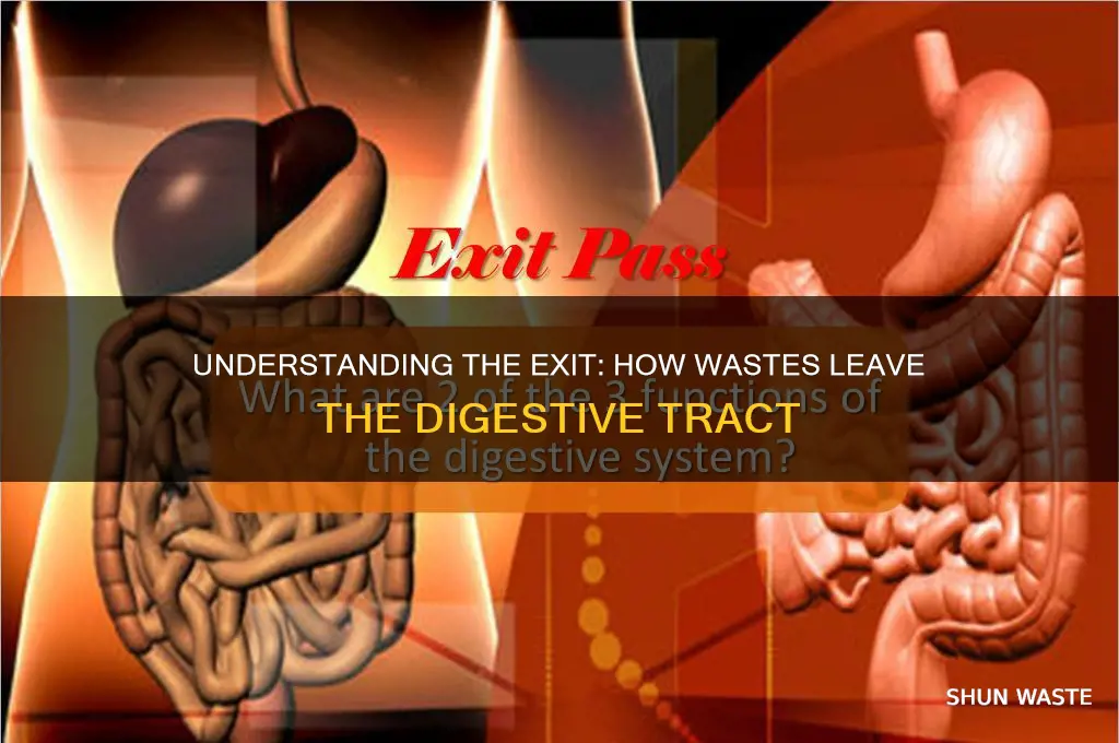 Understanding The Exit: How Wastes Leave The Digestive Tract | ShunWaste