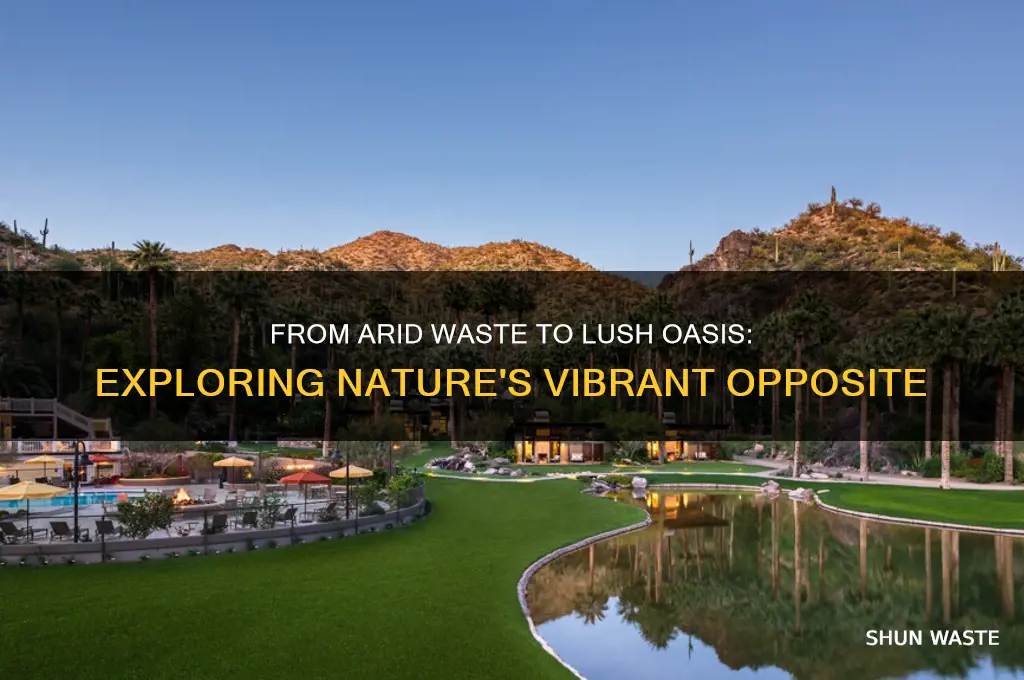 From Arid Waste To Lush Oasis: Exploring Nature's Vibrant Opposite ...