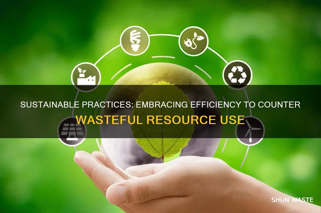 Sustainable Practices: Embracing Efficiency To Counter Wasteful ...