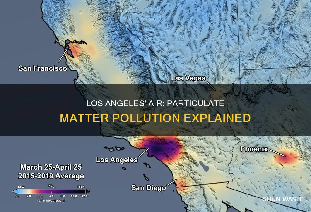 Los Angeles' Air: Particulate Matter Pollution Explained | ShunWaste