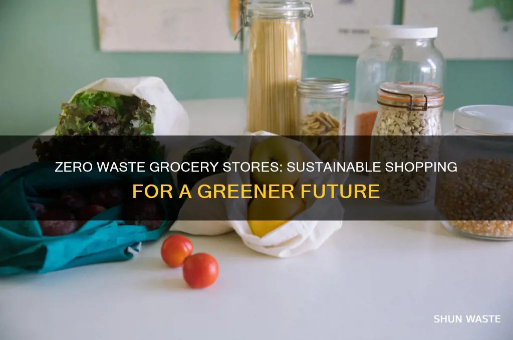 Zero Waste Grocery Stores: Sustainable Shopping For A Greener Future ...