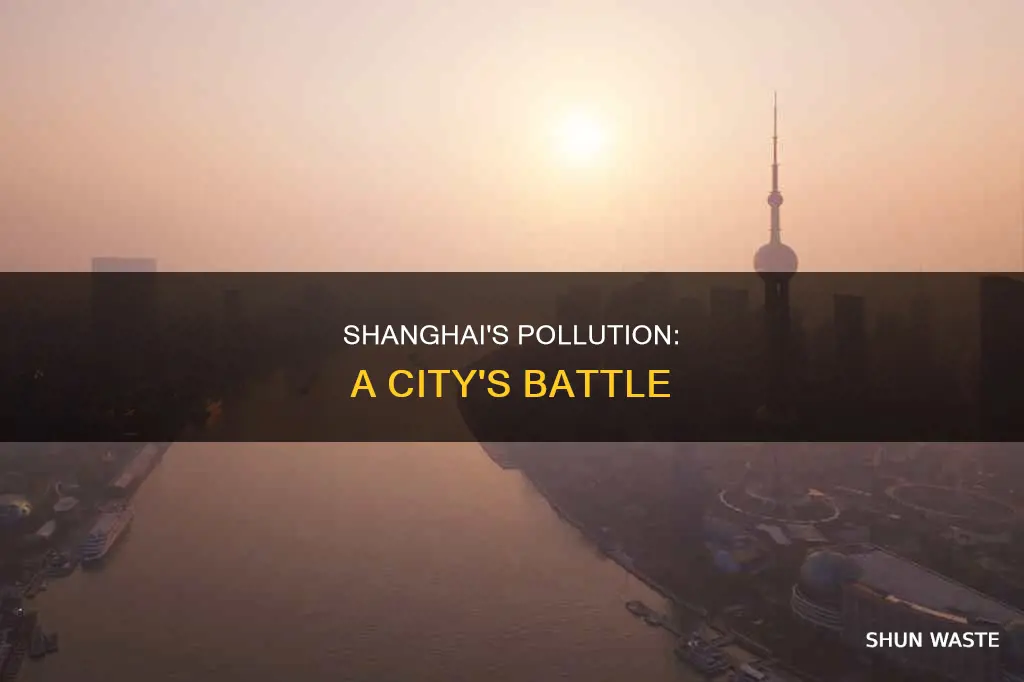Shanghai's Pollution: A City's Battle | ShunWaste