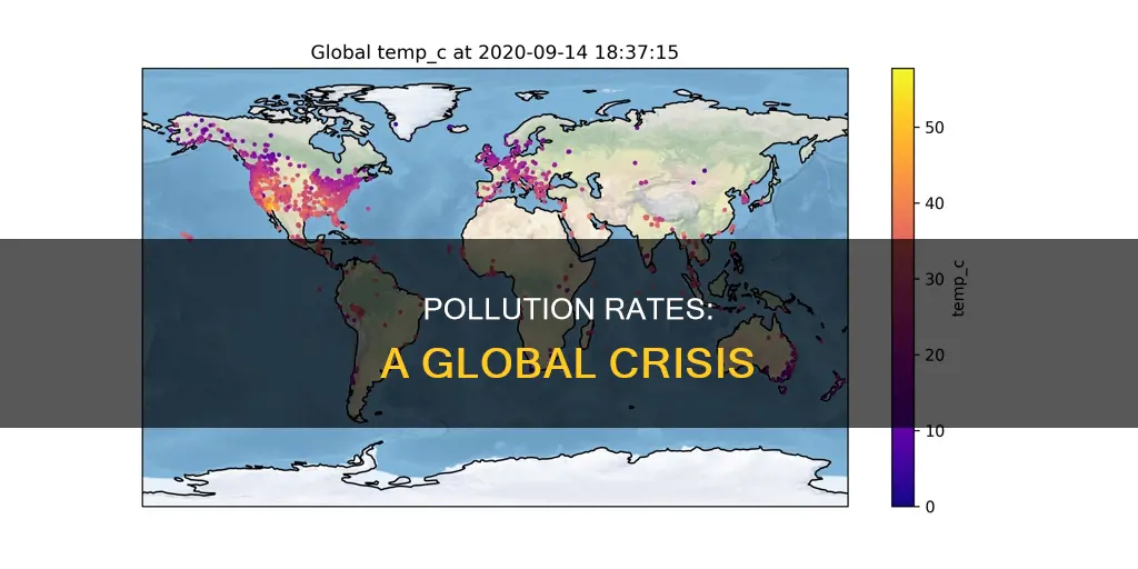 Pollution Rates: A Global Crisis | ShunWaste