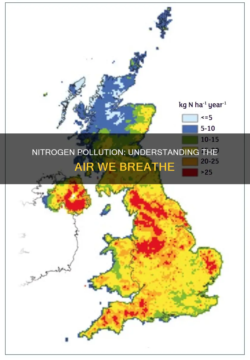 Nitrogen Pollution: Understanding The Air We Breathe | ShunWaste