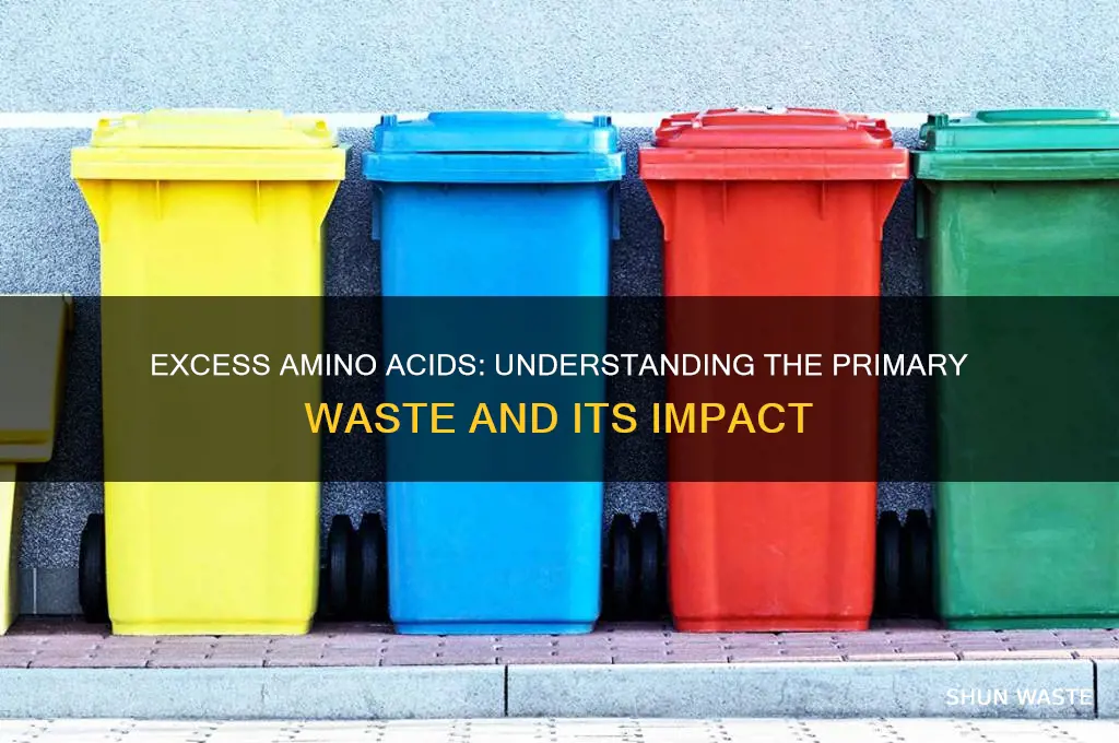 Excess Amino Acids: Understanding The Primary Waste And Its Impact ...