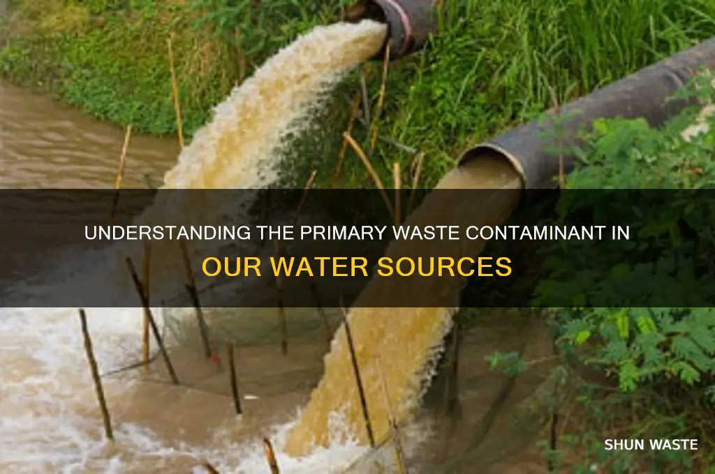 Understanding The Primary Waste Contaminant In Our Water Sources ...