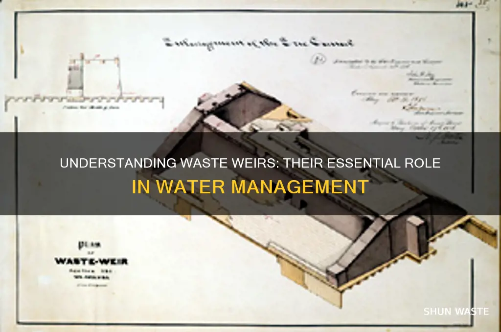 Understanding Waste Weirs: Their Essential Role In Water Management ...