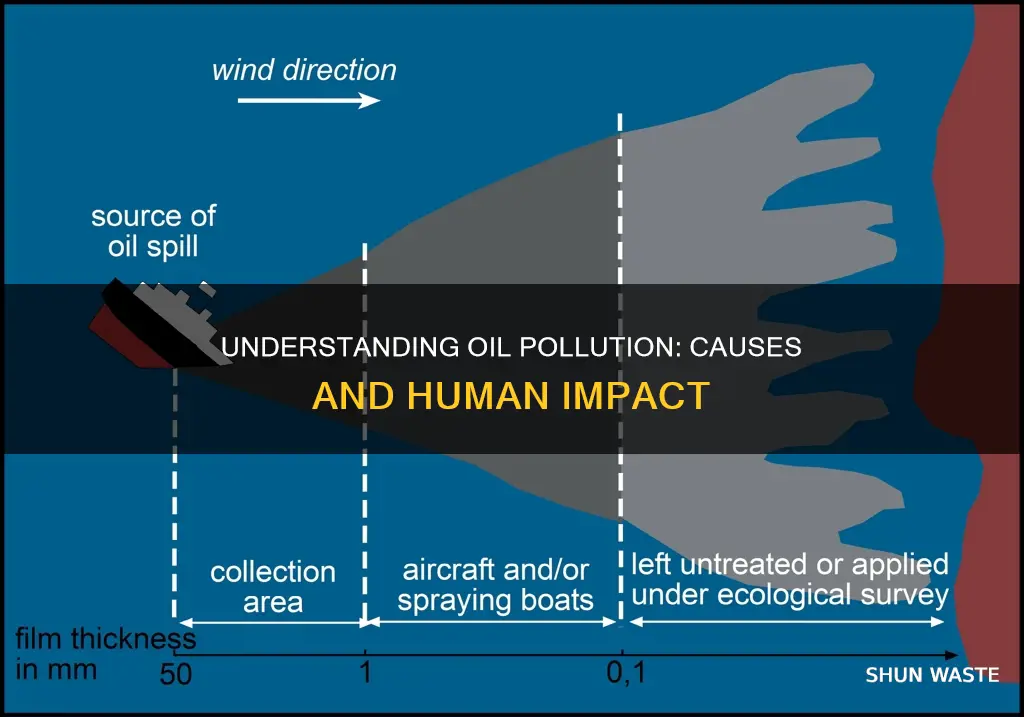 Understanding Oil Pollution: Causes And Human Impact | ShunWaste