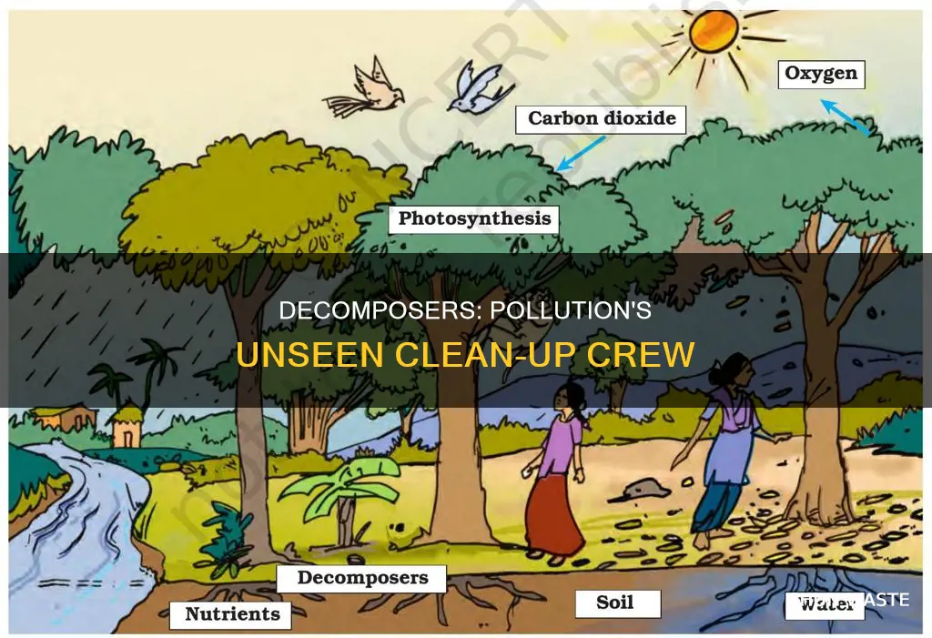Decomposers: Pollution's Unseen Clean-Up Crew | ShunWaste