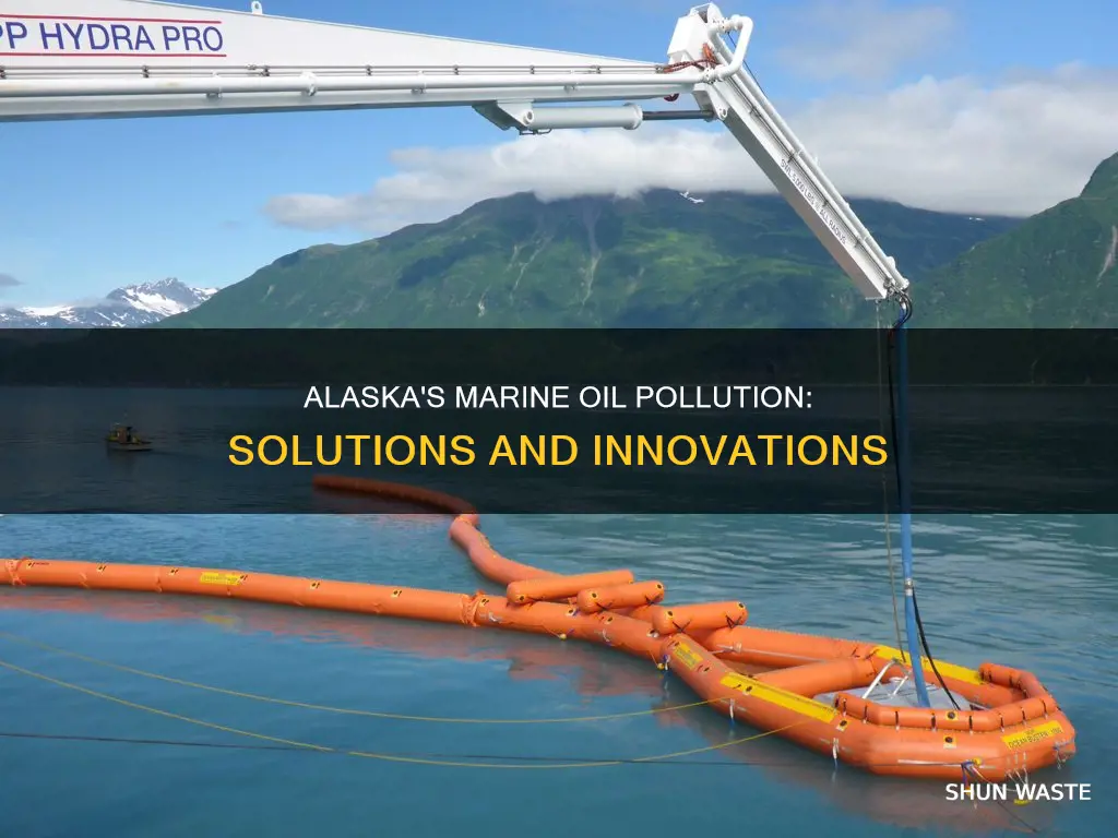 Alaska's Marine Oil Pollution: Solutions And Innovations | ShunWaste