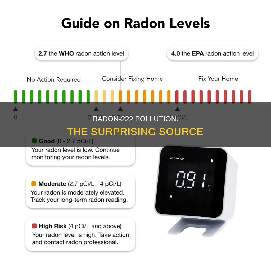 Radon-222 Pollution: The Surprising Source | ShunWaste