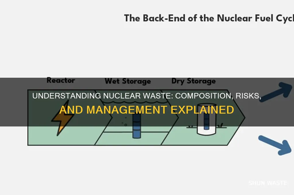 Understanding Nuclear Waste: Composition, Risks, And Management ...