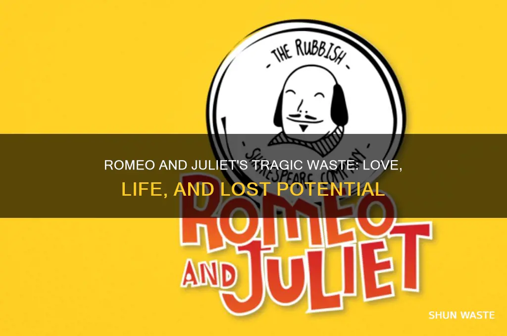 Romeo And Juliet's Tragic Waste: Love, Life, And Lost Potential | ShunWaste