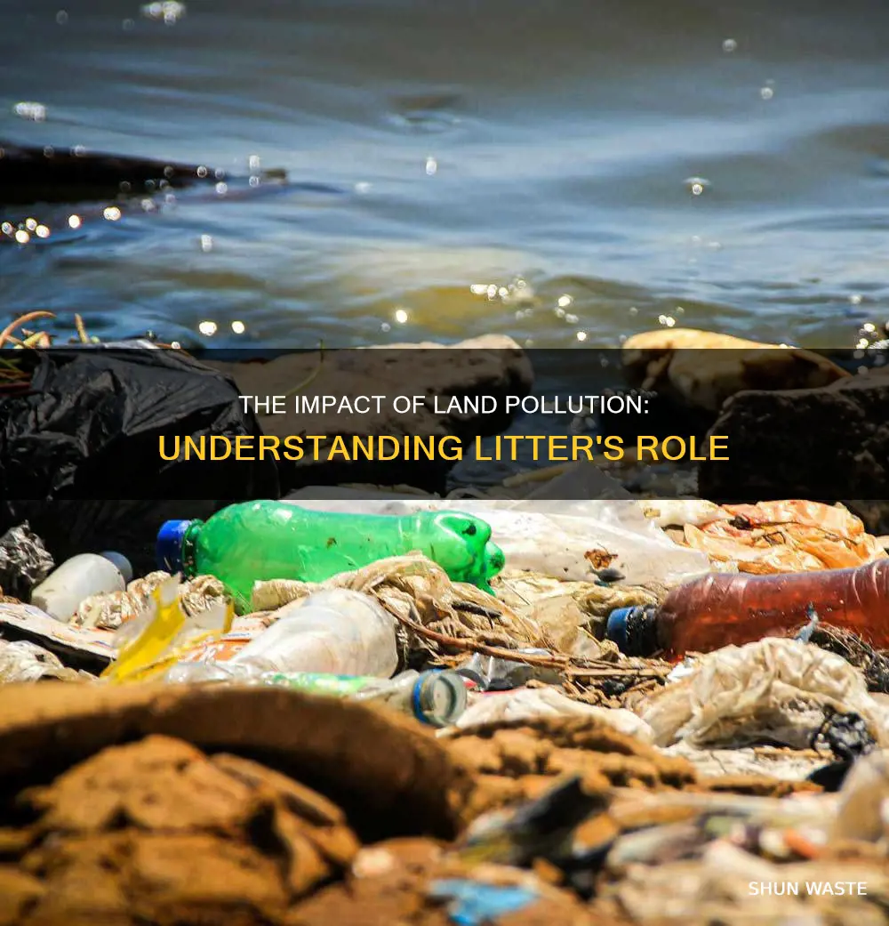 The Impact Of Land Pollution: Understanding Litter's Role | ShunWaste