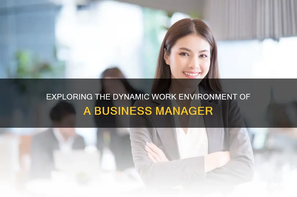 Exploring The Dynamic Work Environment Of A Business Manager | ShunWaste