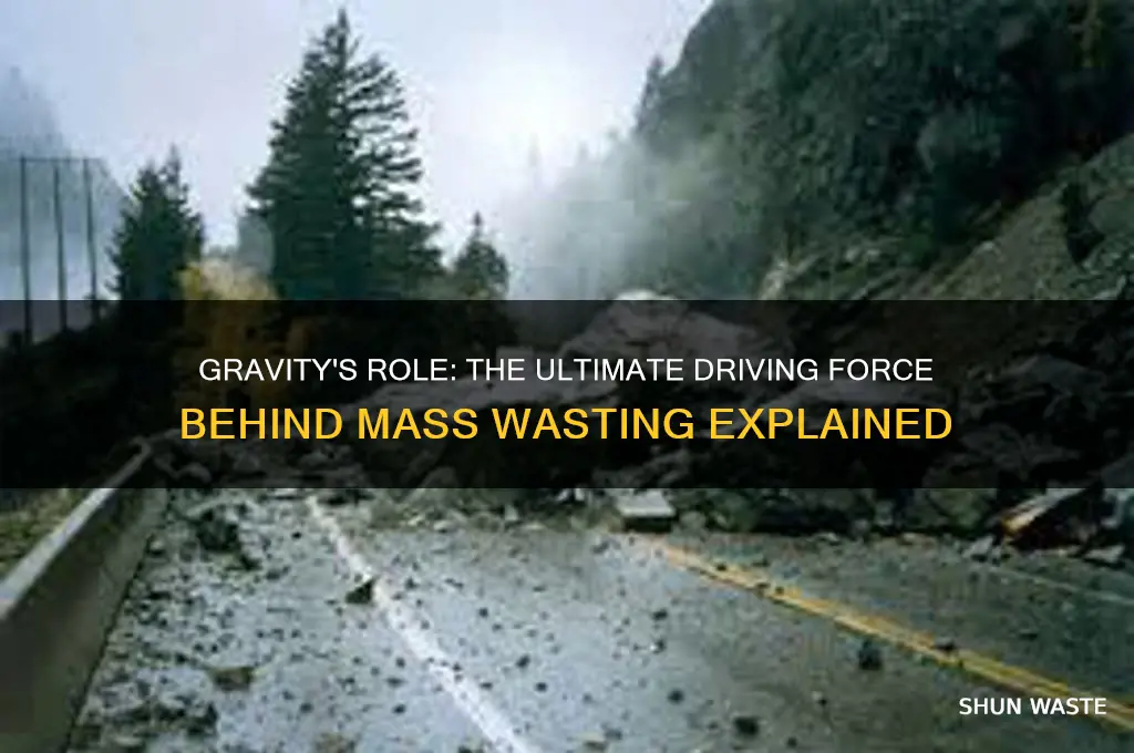 Gravity's Role: The Ultimate Driving Force Behind Mass Wasting ...